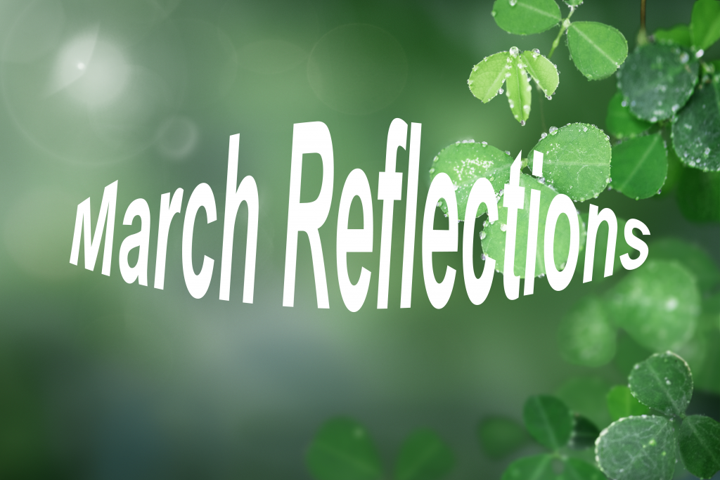 MarchReflectionsFeaturedImage – Blue Water Area Transit